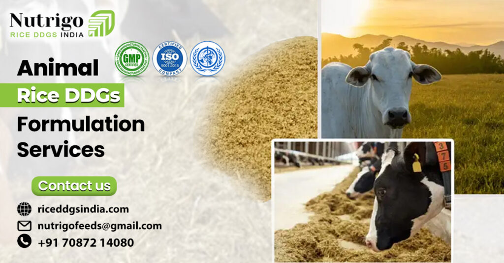 Expert Animal Rice Formulation Services - Riceddgsindia.com